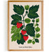 Strawberry Poster Farmhouse Wall Decor – HypeSheriff