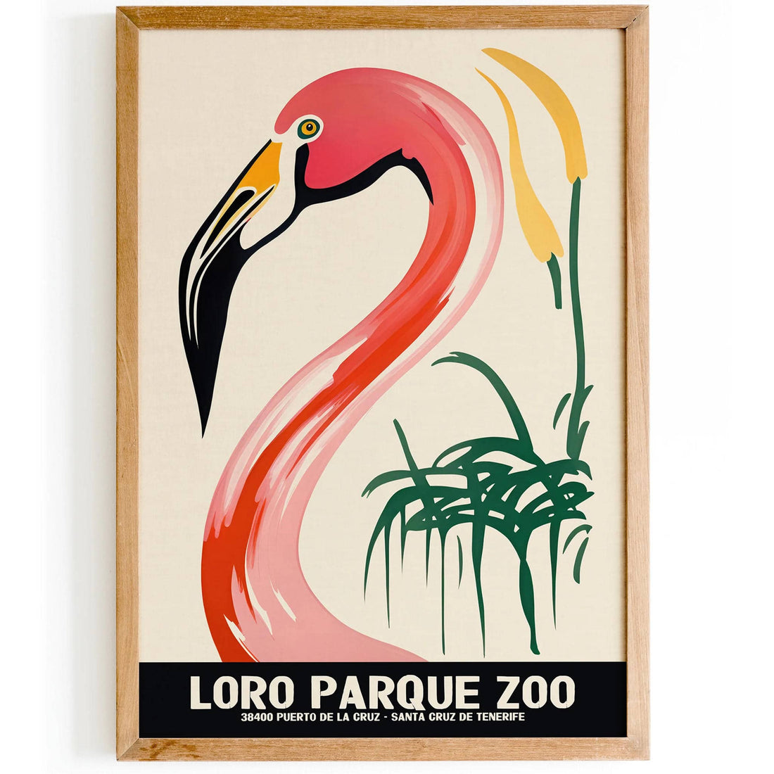 Loro Parque Zoo - Flamingo Wall Art – HypeSheriff
