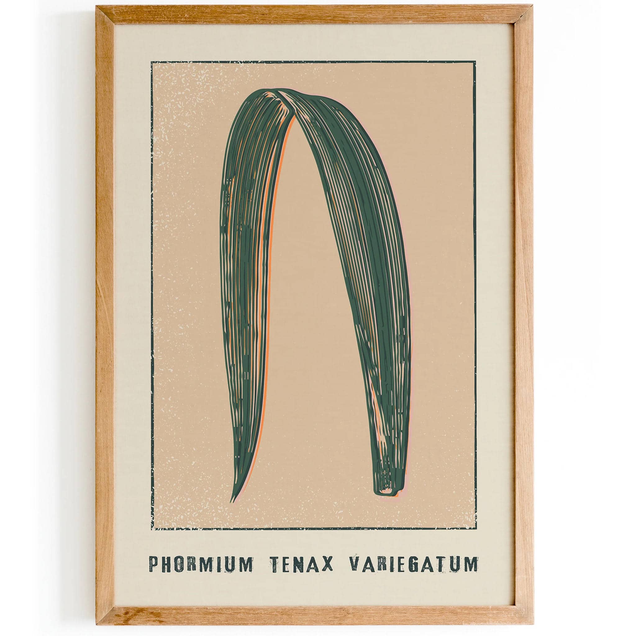 Phormium Tenax Veriegatum Floral Print – HypeSheriff