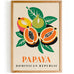 Papaya Tropical Fruit Poster – HypeSheriff