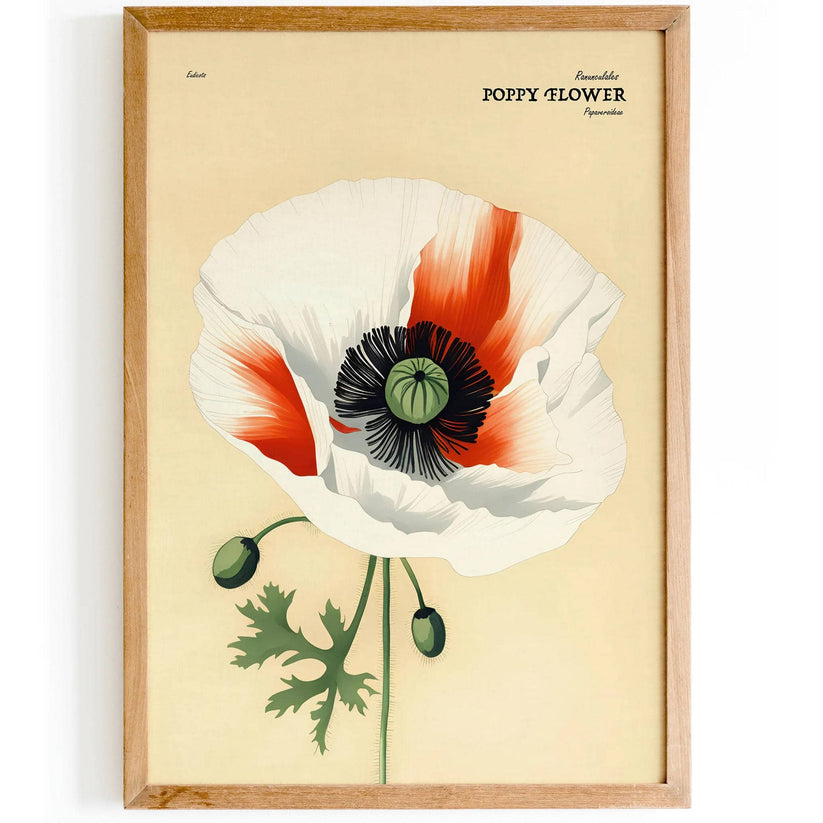 Vintage Poppy Flower Illustrated Poster – HypeSheriff