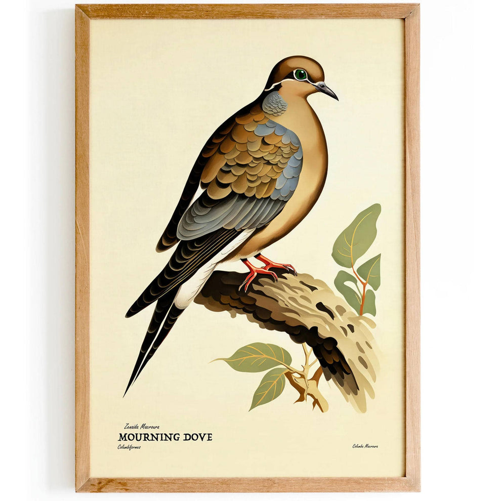 Vintage Mourning Dove Bird Poster – HypeSheriff