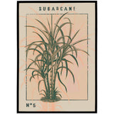 Sugarcane Vintage Poster – HypeSheriff