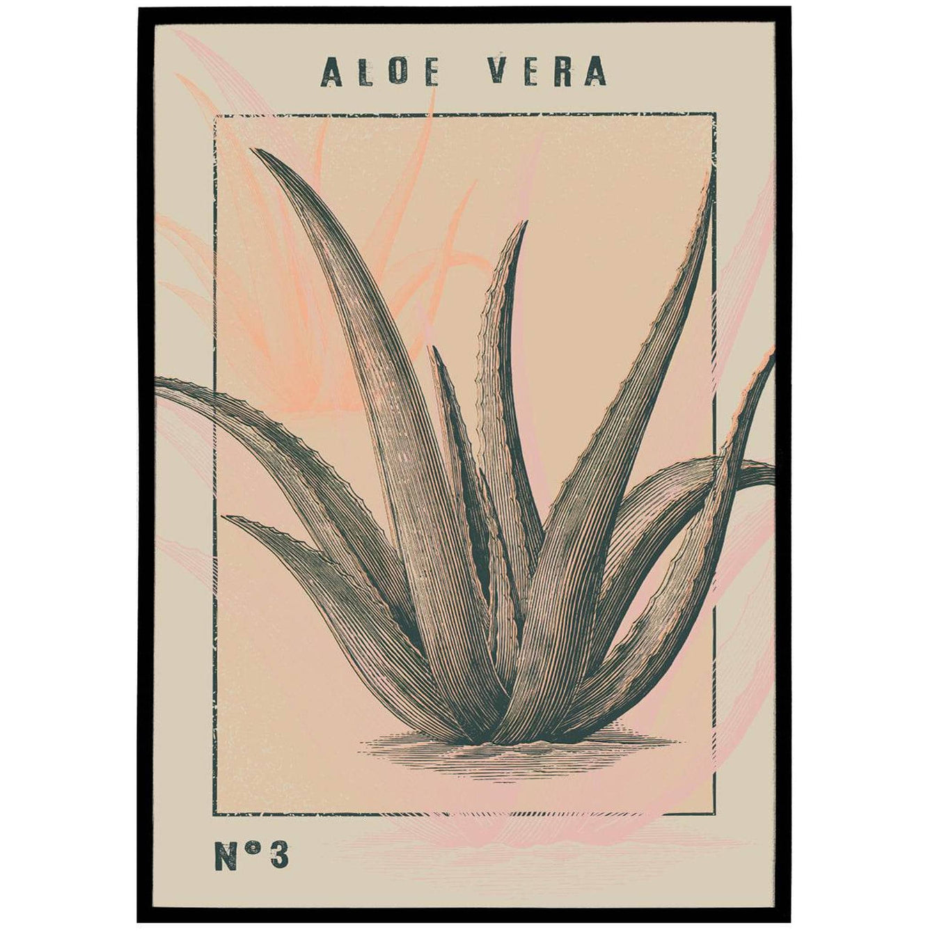Aloe Vera Vintage Art Print – HypeSheriff