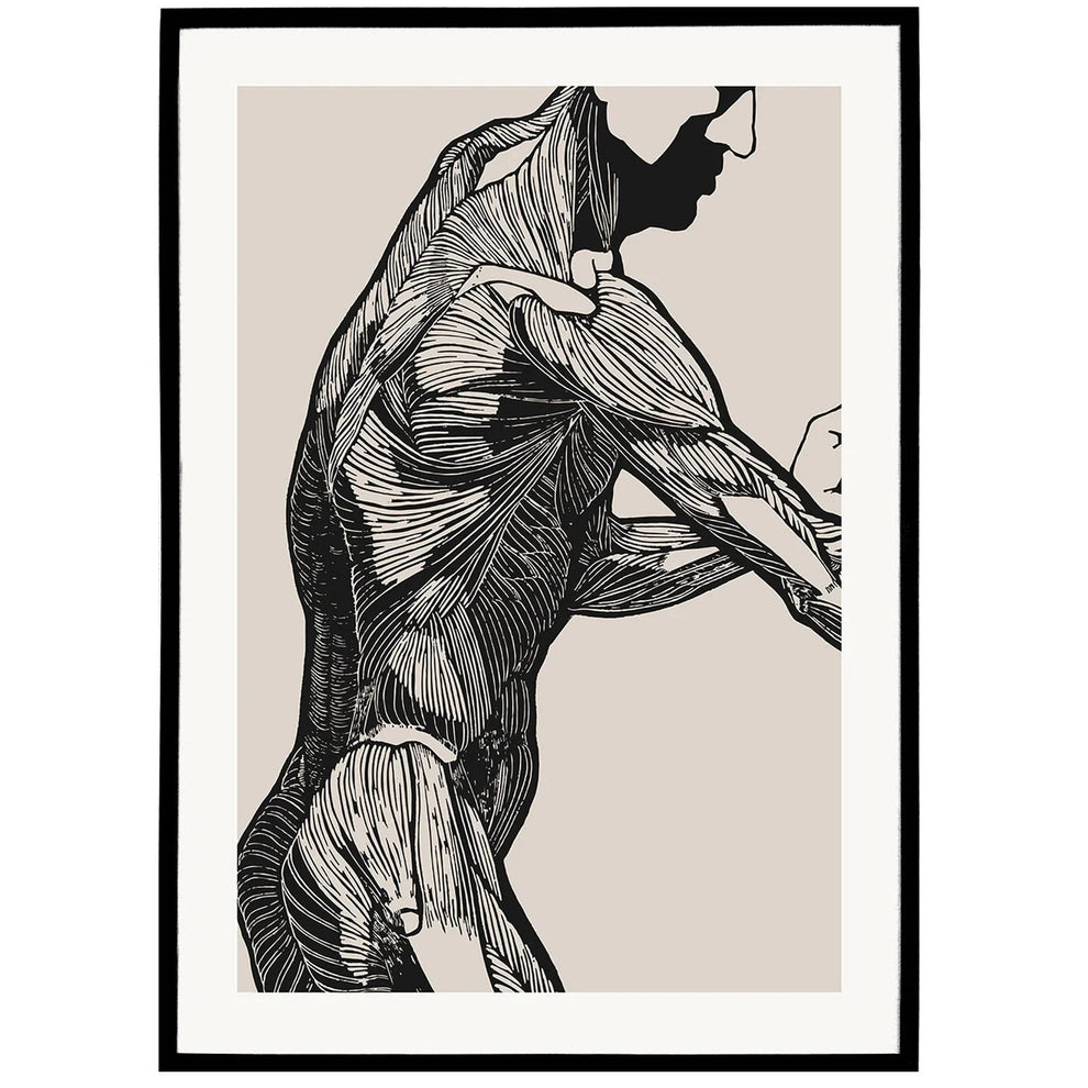 Human Anatomy Poster – HypeSheriff