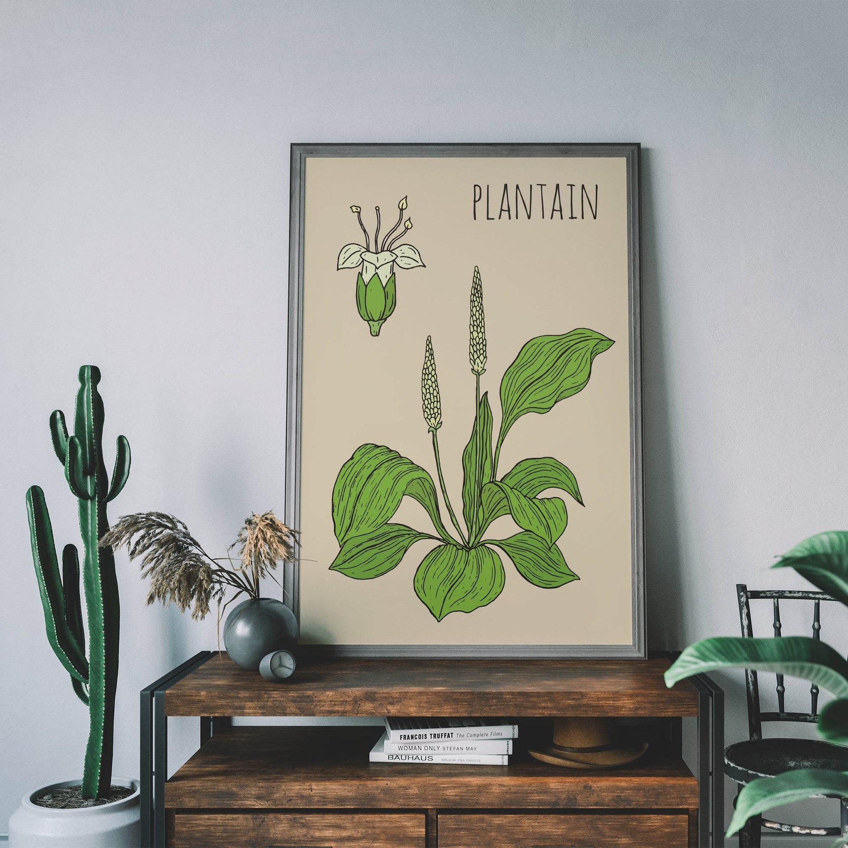 Plantain Botanical Poster – HypeSheriff