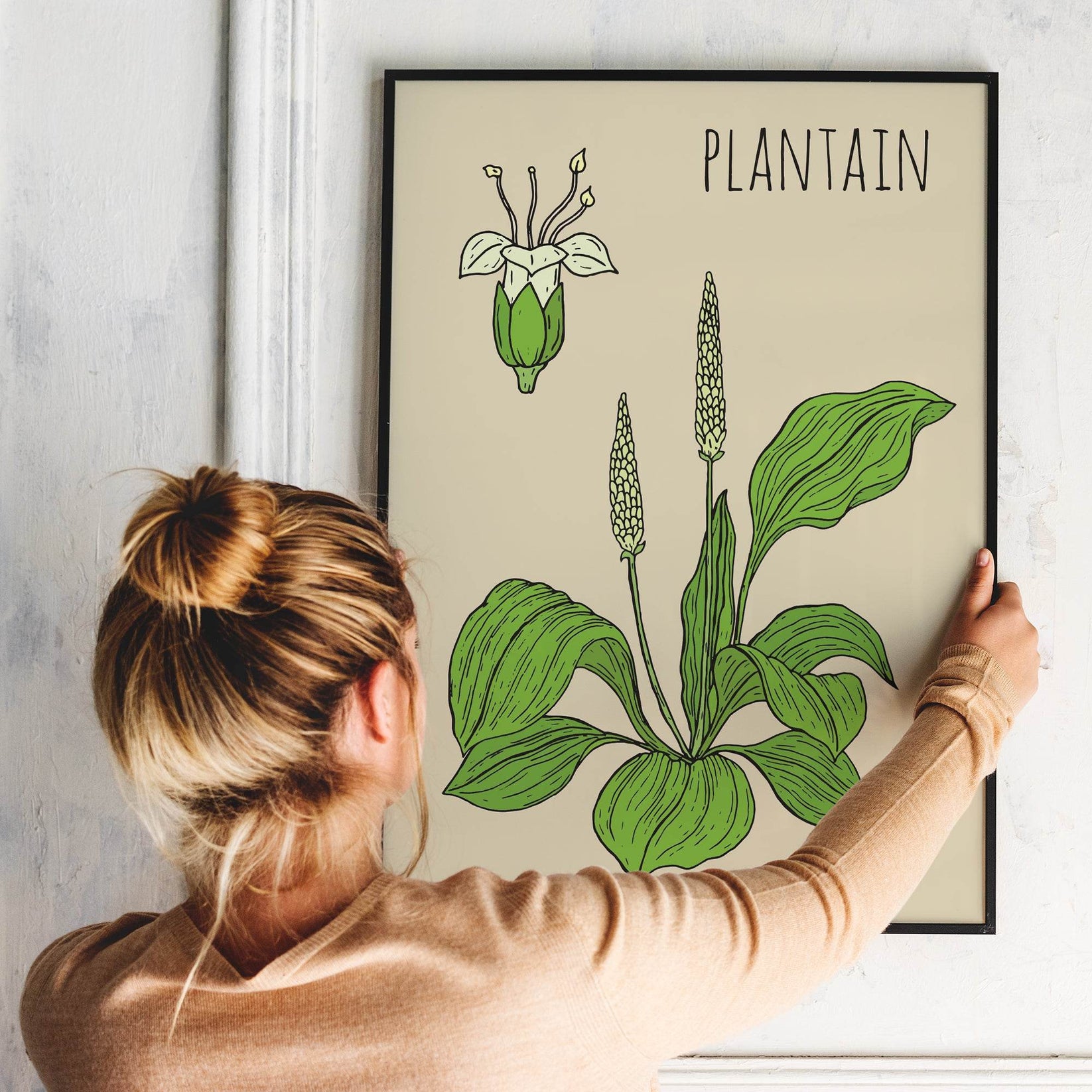 Plantain Botanical Poster – HypeSheriff