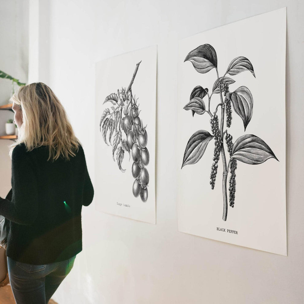 Black Pepper Art Print – HypeSheriff