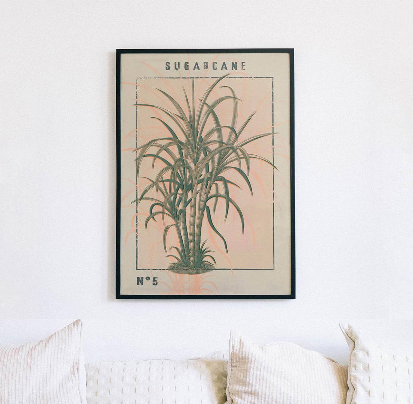 Sugarcane Vintage Poster – HypeSheriff