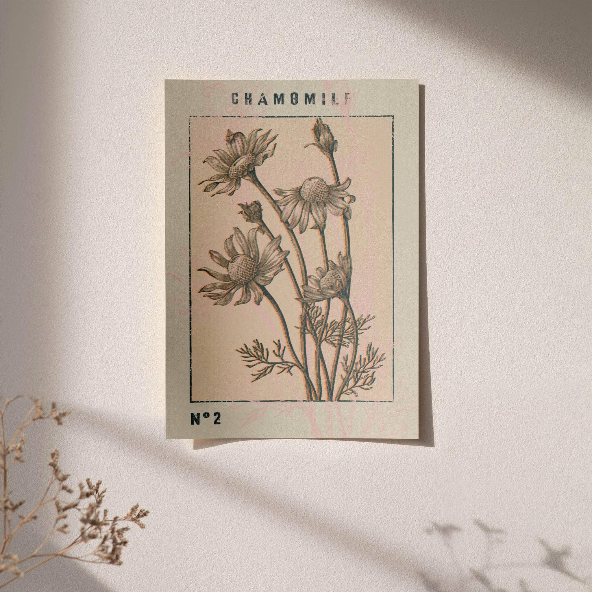 Vintage Chamomile Art Print – HypeSheriff