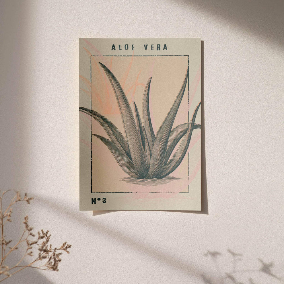 Aloe Vera Vintage Art Print – HypeSheriff