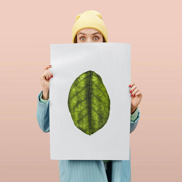 Minimalist Leaf Photography Poster – HypeSheriff